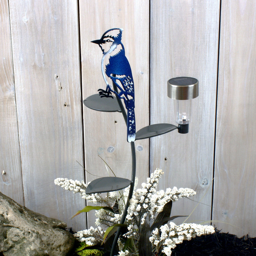 Blue Jay with solar light – PracticalArt