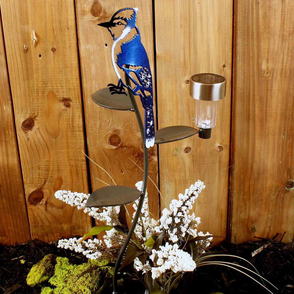 Blue Jay with solar light – PracticalArt