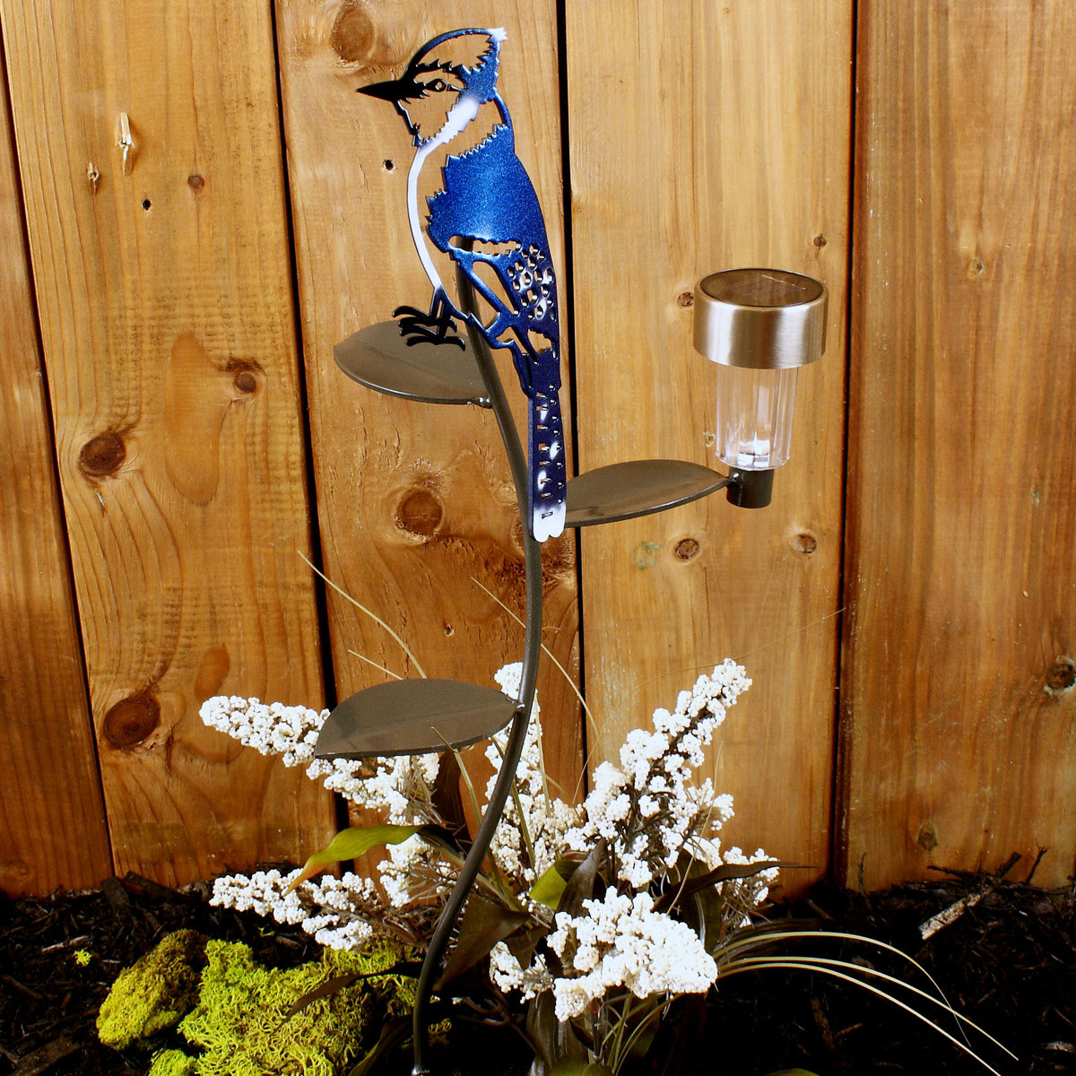 Blue Jay with solar light – PracticalArt