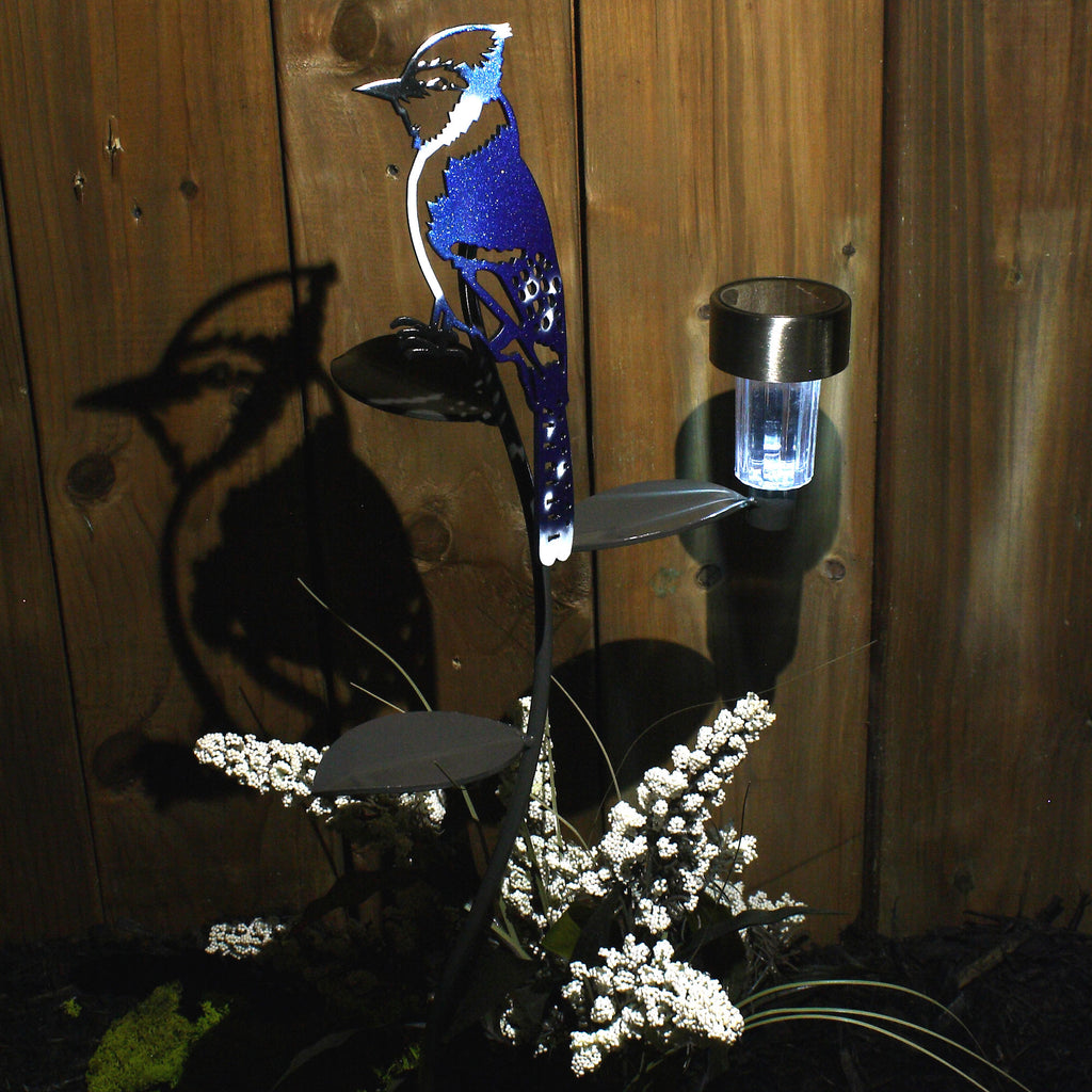 Blue Jay with solar light – PracticalArt