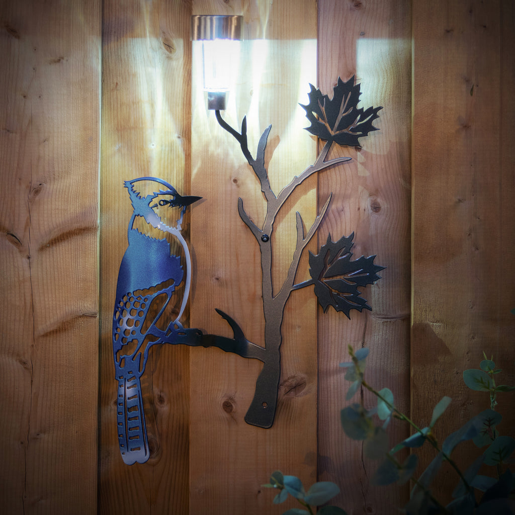 Blue Jay on maple leaf branch with solar light – PracticalArt