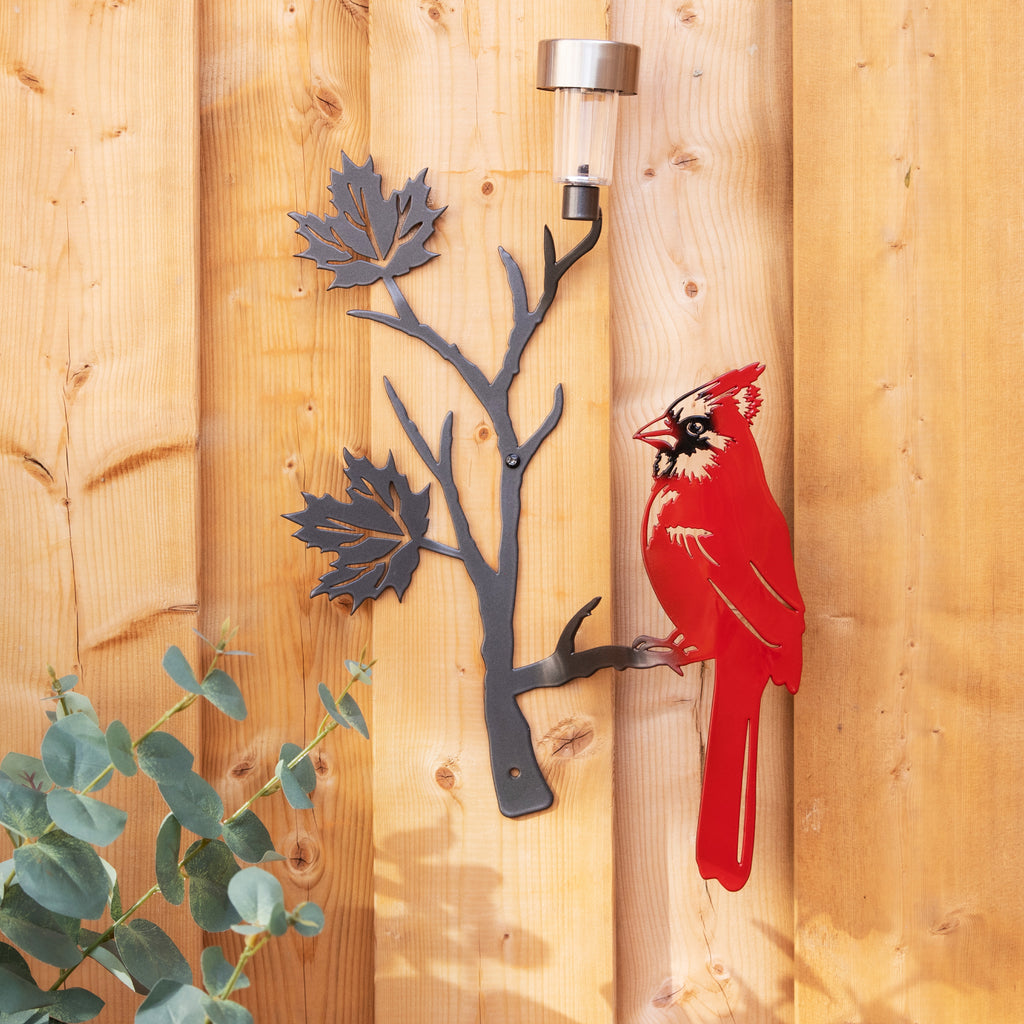 Red cardinal perched on a maple leaf branch with solar light – PracticalArt