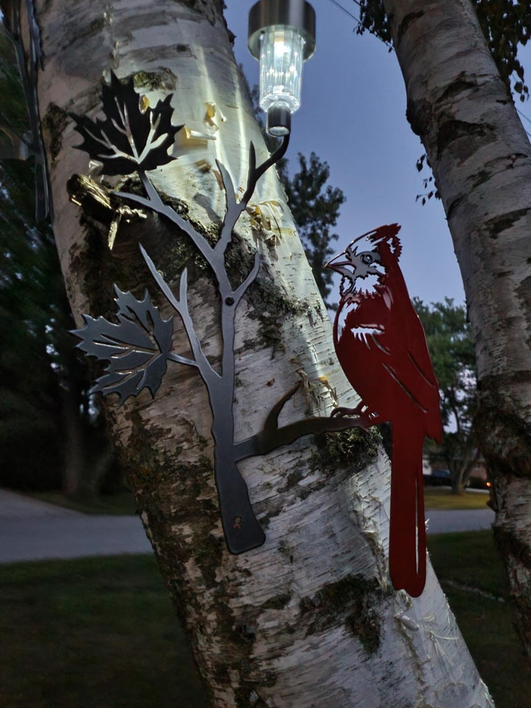 Red cardinal perched on a maple leaf branch with solar light – PracticalArt